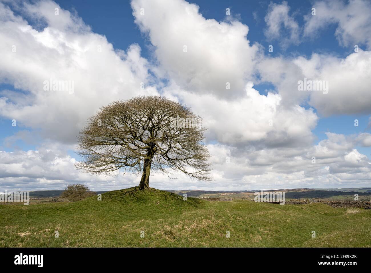 View of a snow covered Blackshaw Moor from Grindon Moor, Staffordshire ...