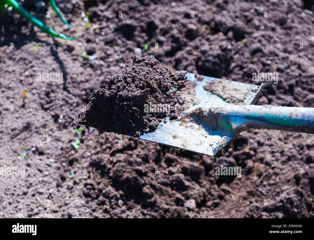Garden shovel with soil. Spring gardening Stock Photo - Alamy