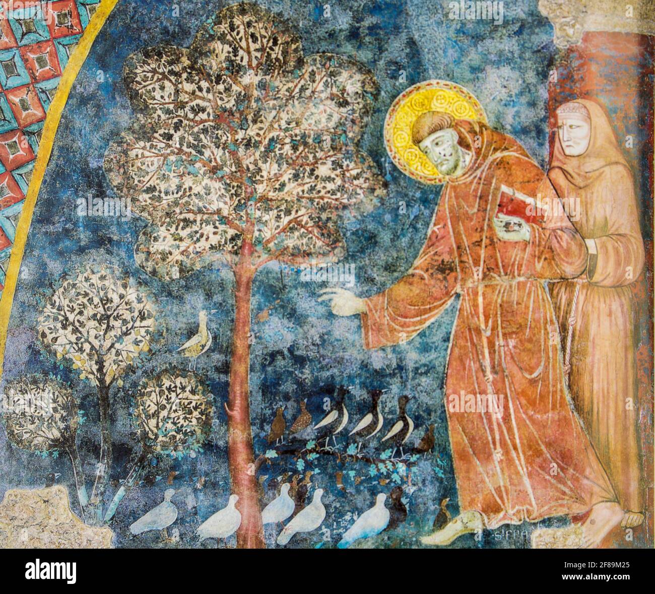 Saint francis of assisi birds hi-res stock photography and images - Alamy