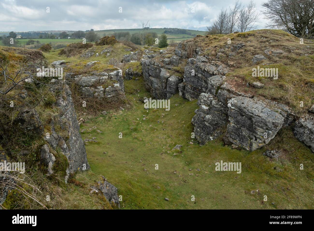 Exposed limestone and Calaminarian grassland - calcareous grassland on ...