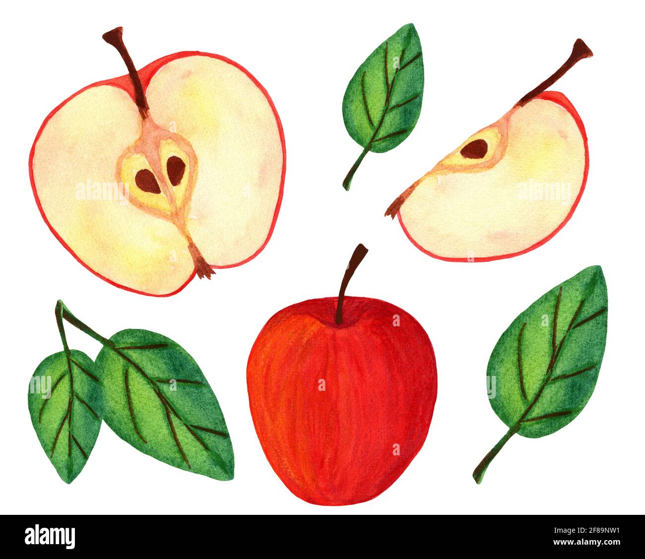 Red apple, half with seeds and leaves collection isolated on white ...