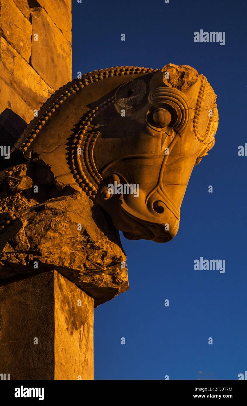 The Bull capital Carved Achaemenid columns in Persepolis, Iran Stock ...