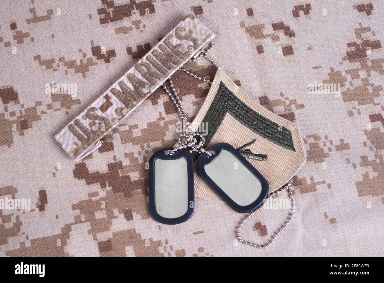 What Are Marine Dog Tags