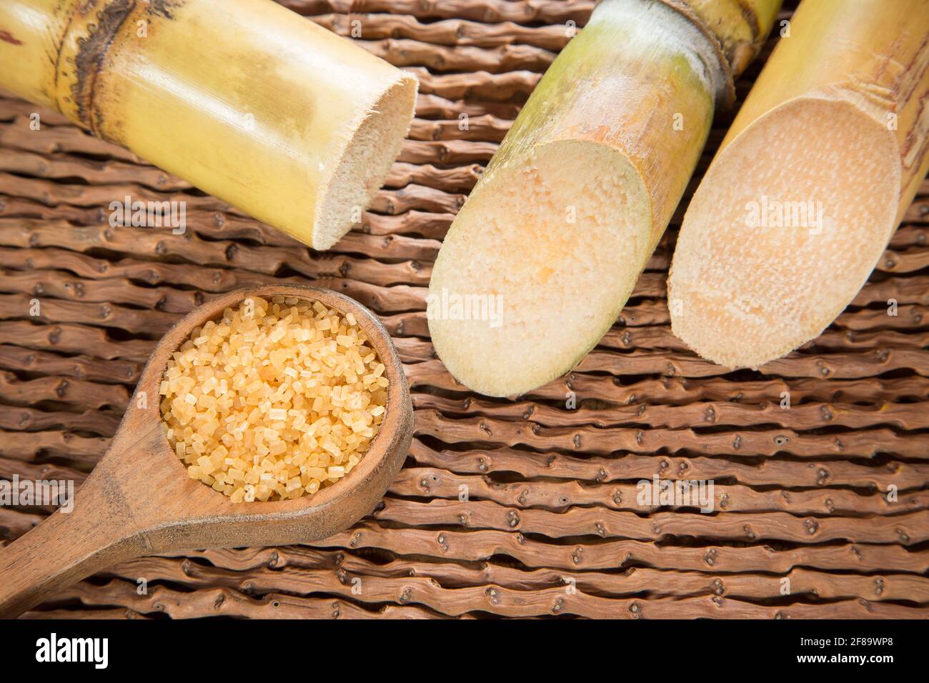 Powder and sugar cane - Saccharum officinarum Stock Photo - Alamy