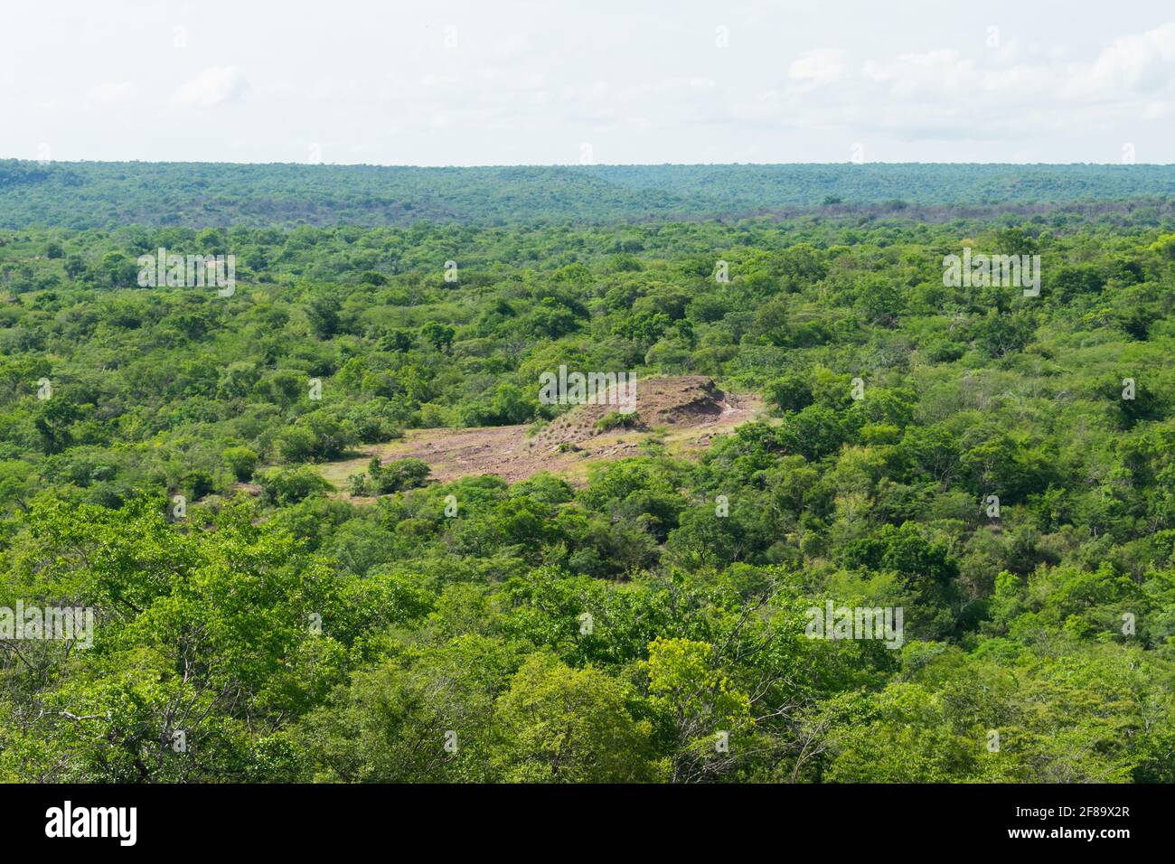 Sertao do piaui hi-res stock photography and images - Alamy