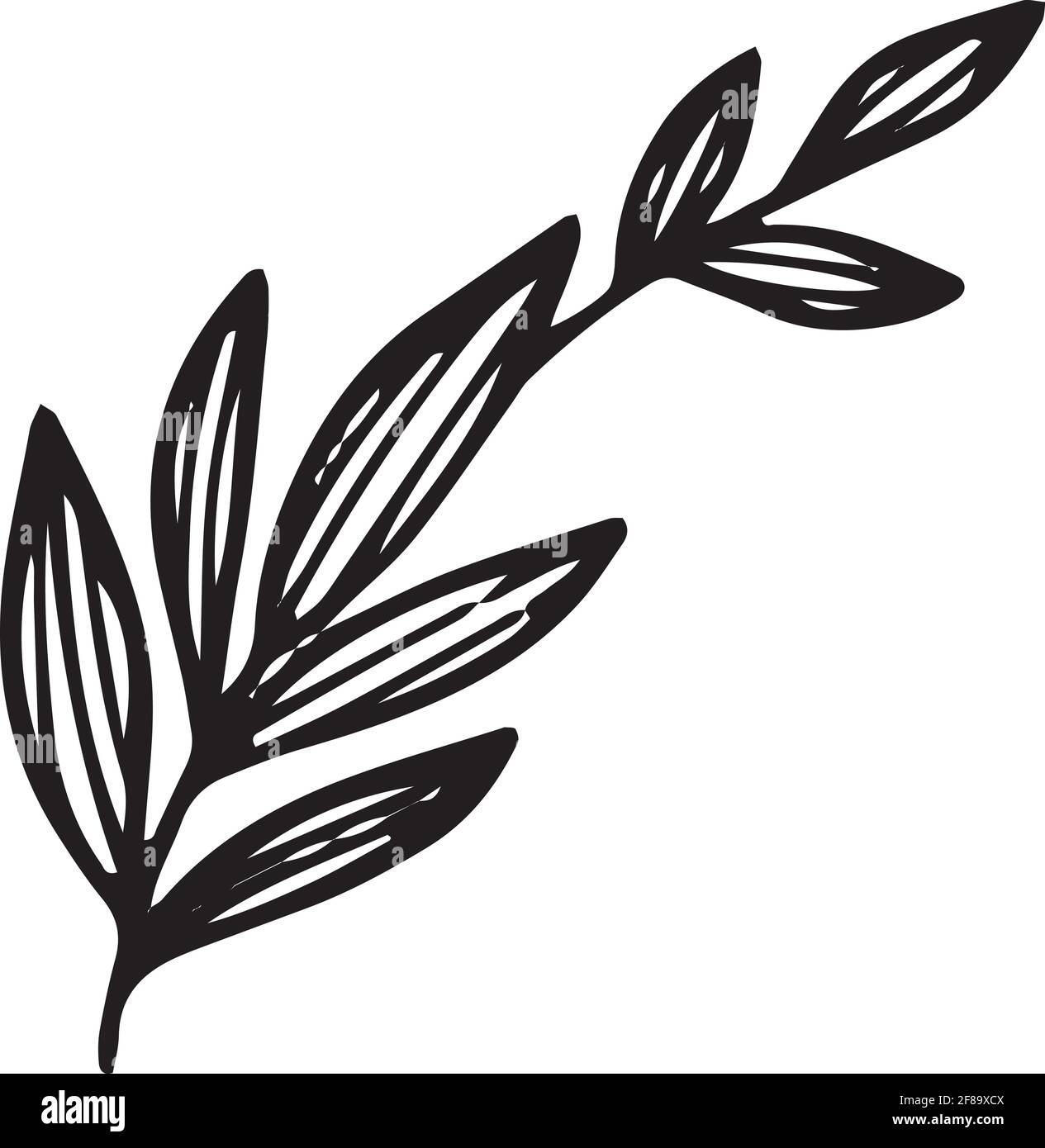 Long leaf branch icon, hand drawn and outline style Stock Vector Image ...