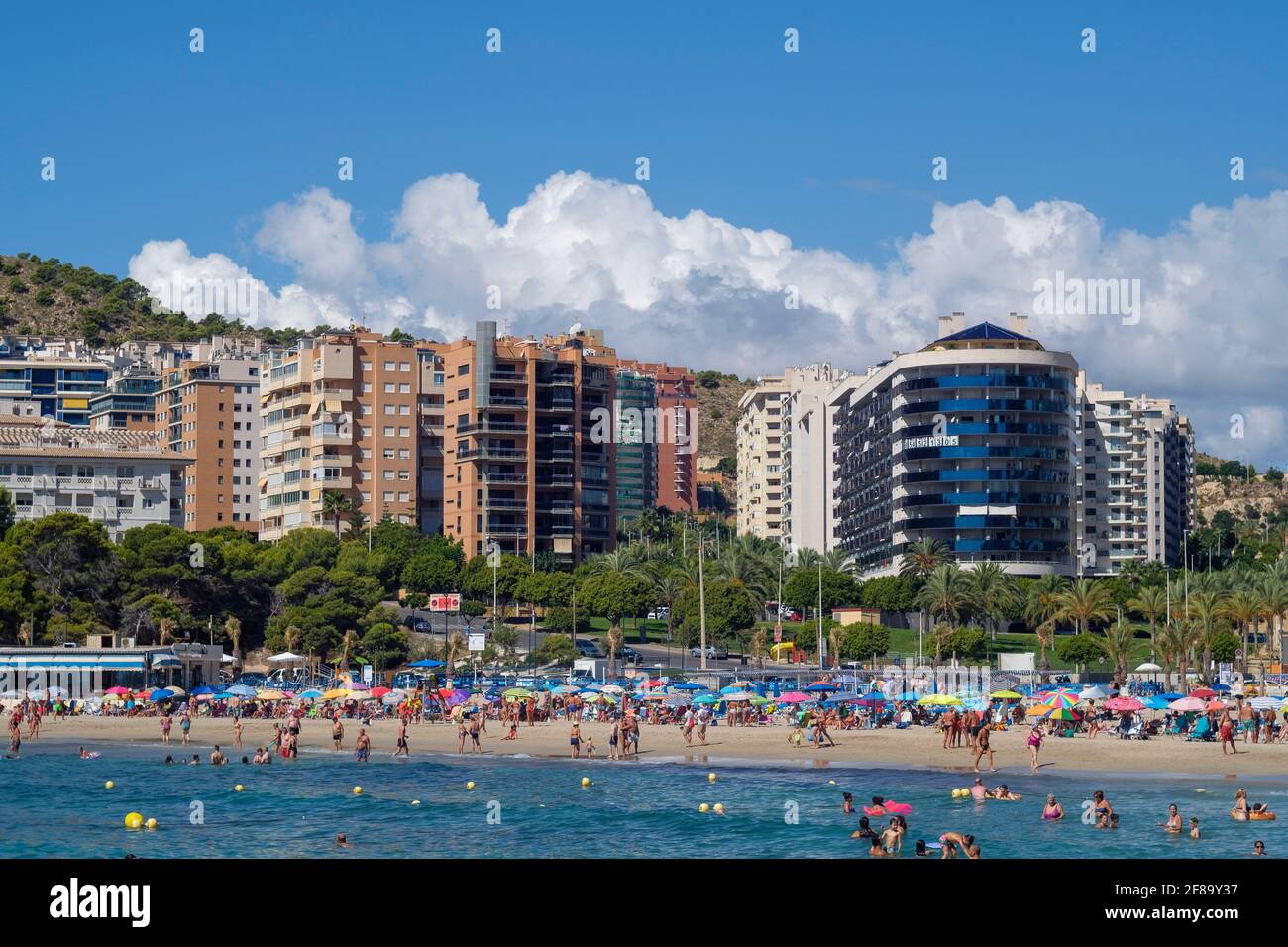 Vacationers in front of high-rise buildings in the water and on the ...
