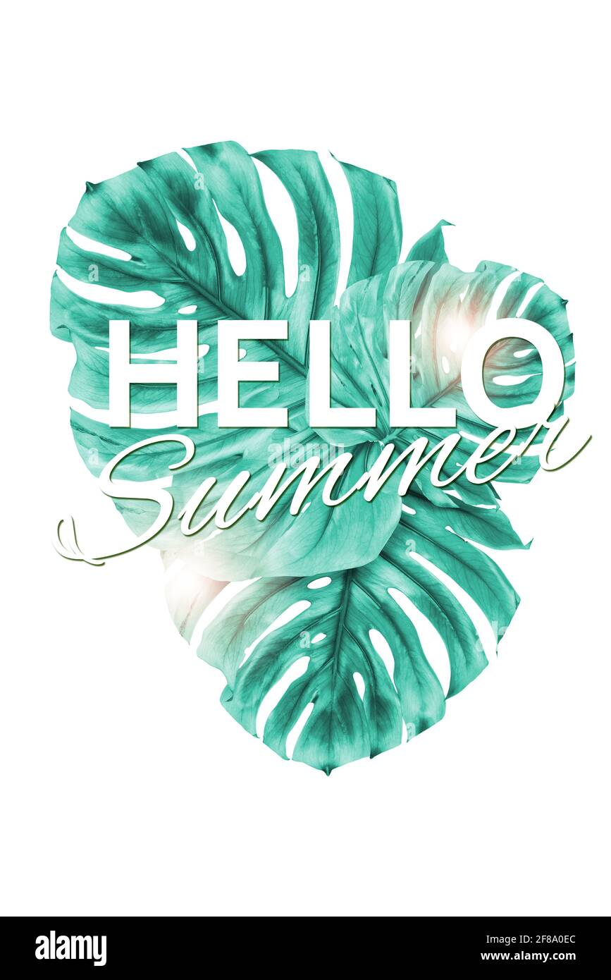 Hello, Summer poster or greeting card with three green monsteras leaves ...