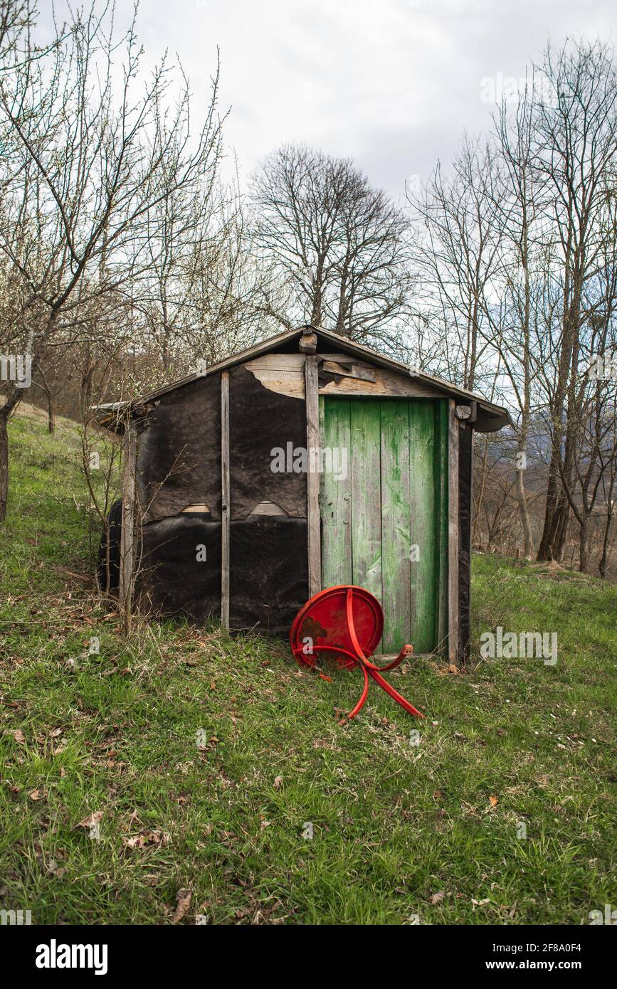 old wooden abandoned cabin in the forest Stock Photo - Alamy