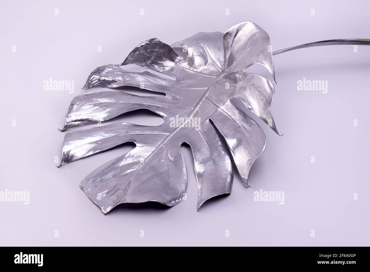 Silver monstera hi-res stock photography and images - Alamy