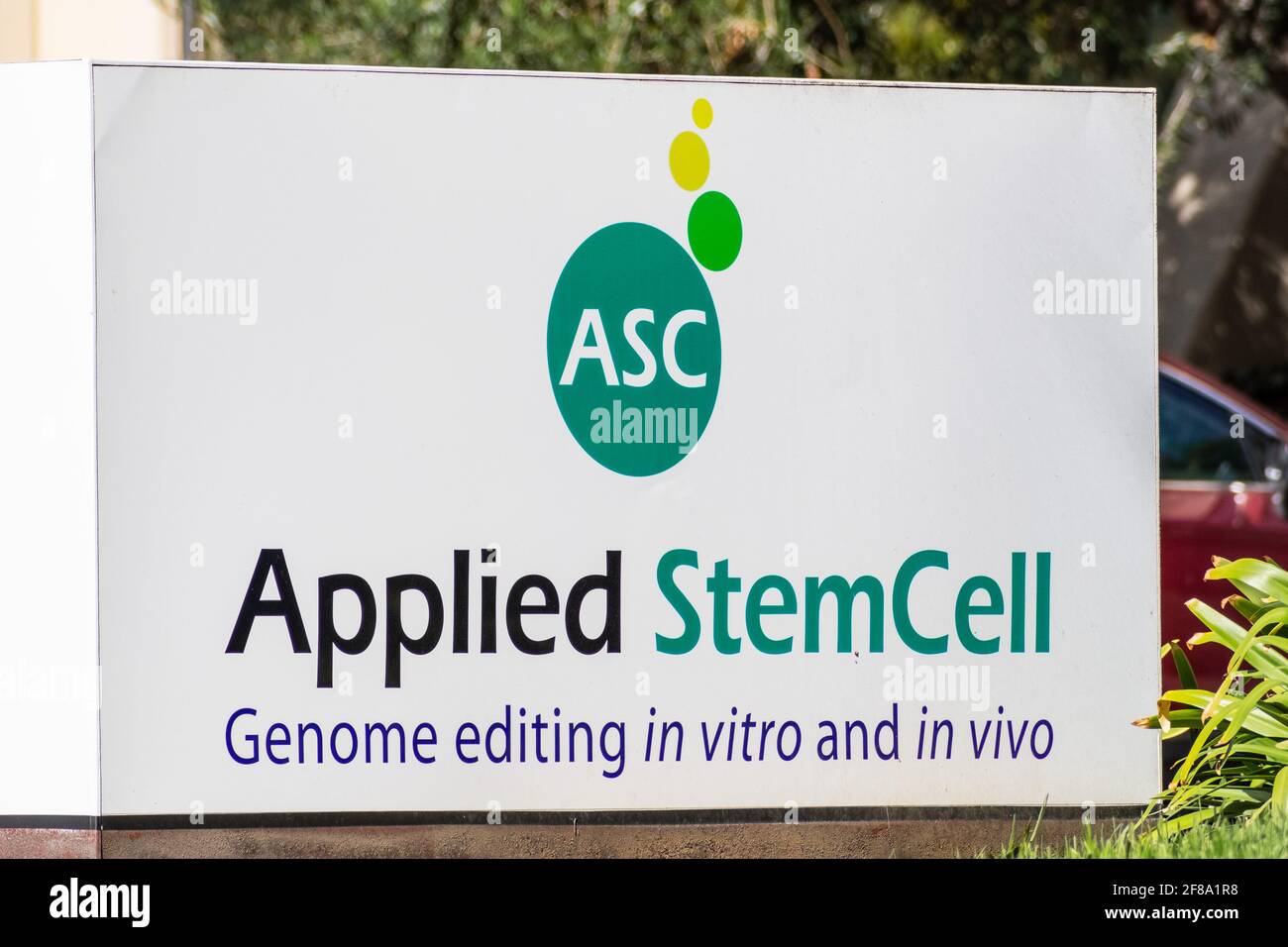 Applied stemcell hi-res stock photography and images - Alamy
