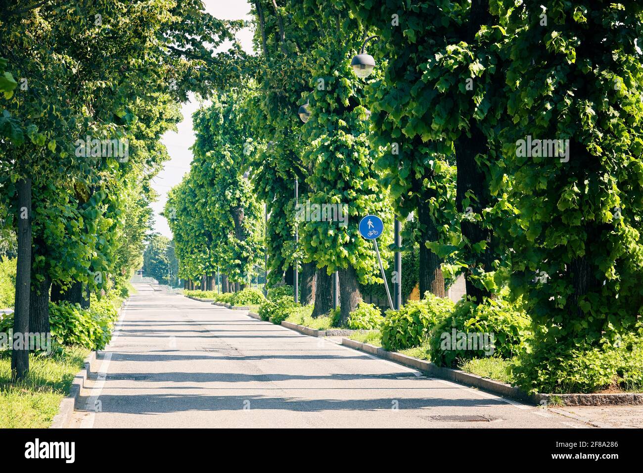 Quiet city street, sidewalk and idyllic homes in a suburban ...