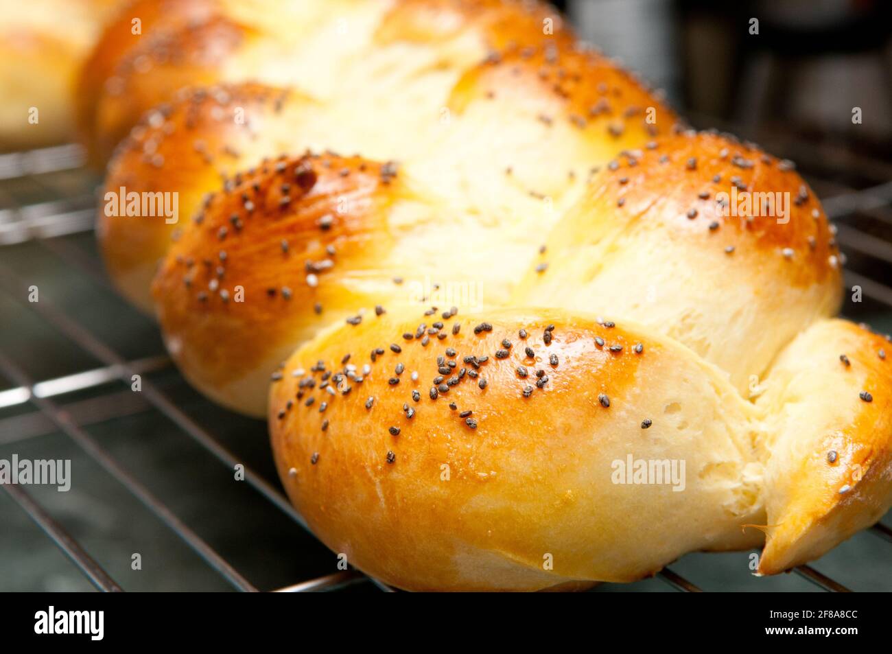 Pigtail bun hi-res stock photography and images - Alamy