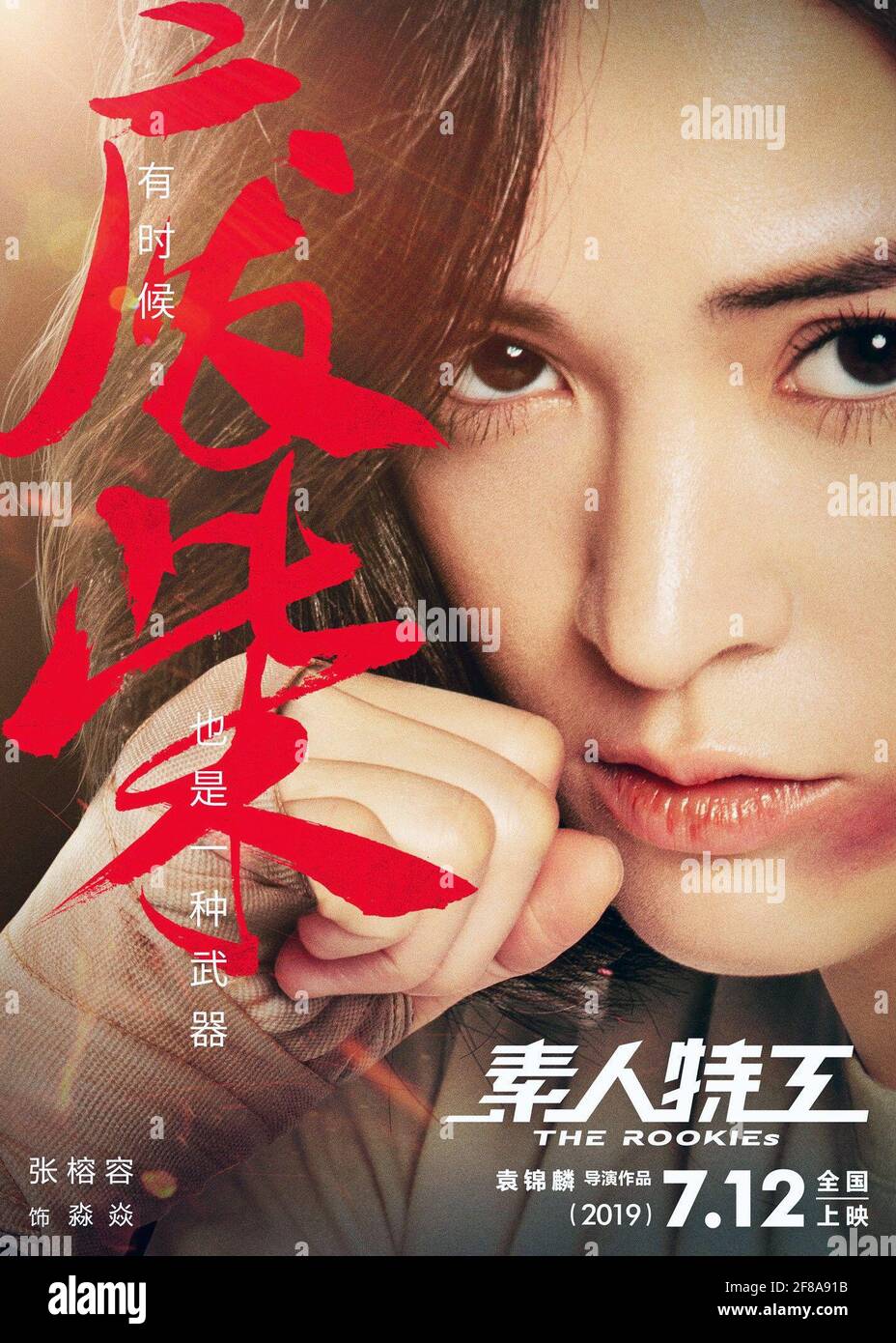 THE ROOKIES, (aka SU REN TE GONG), Chinese character poster, Sandrine ...