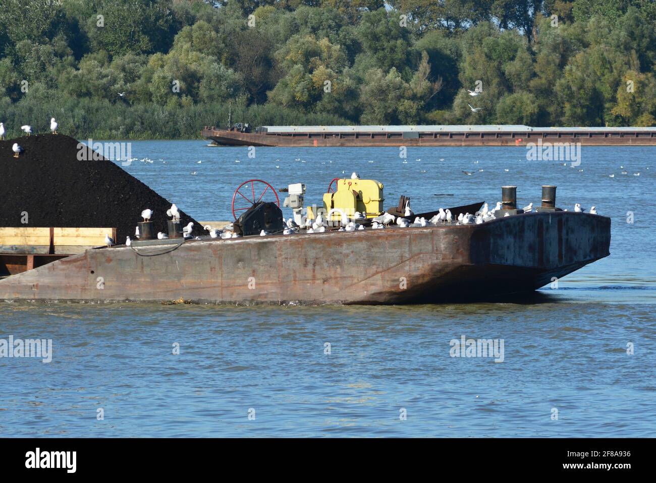 Long river boar hi-res stock photography and images - Alamy