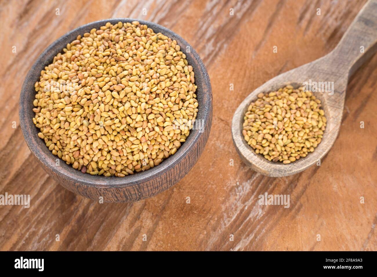 Medicago sativa - Organic alfalfa seeds in the wooden bowl Stock Photo ...