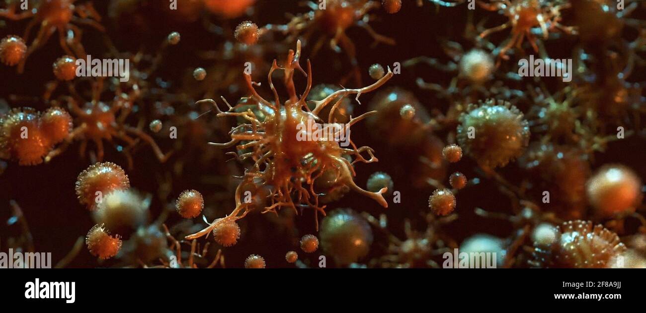 VIRUS SHARK, 2021. © SRS Cinema / Courtesy Everett Collection Stock ...