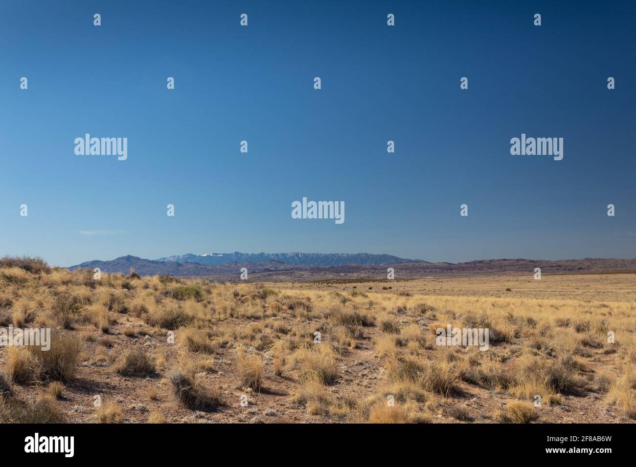 Expansive plain hi-res stock photography and images - Alamy