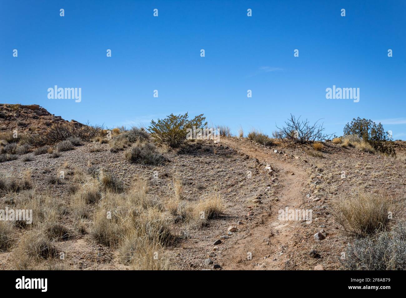 Rock lined path up over a ridge, New Mexico desert with grasses and ...
