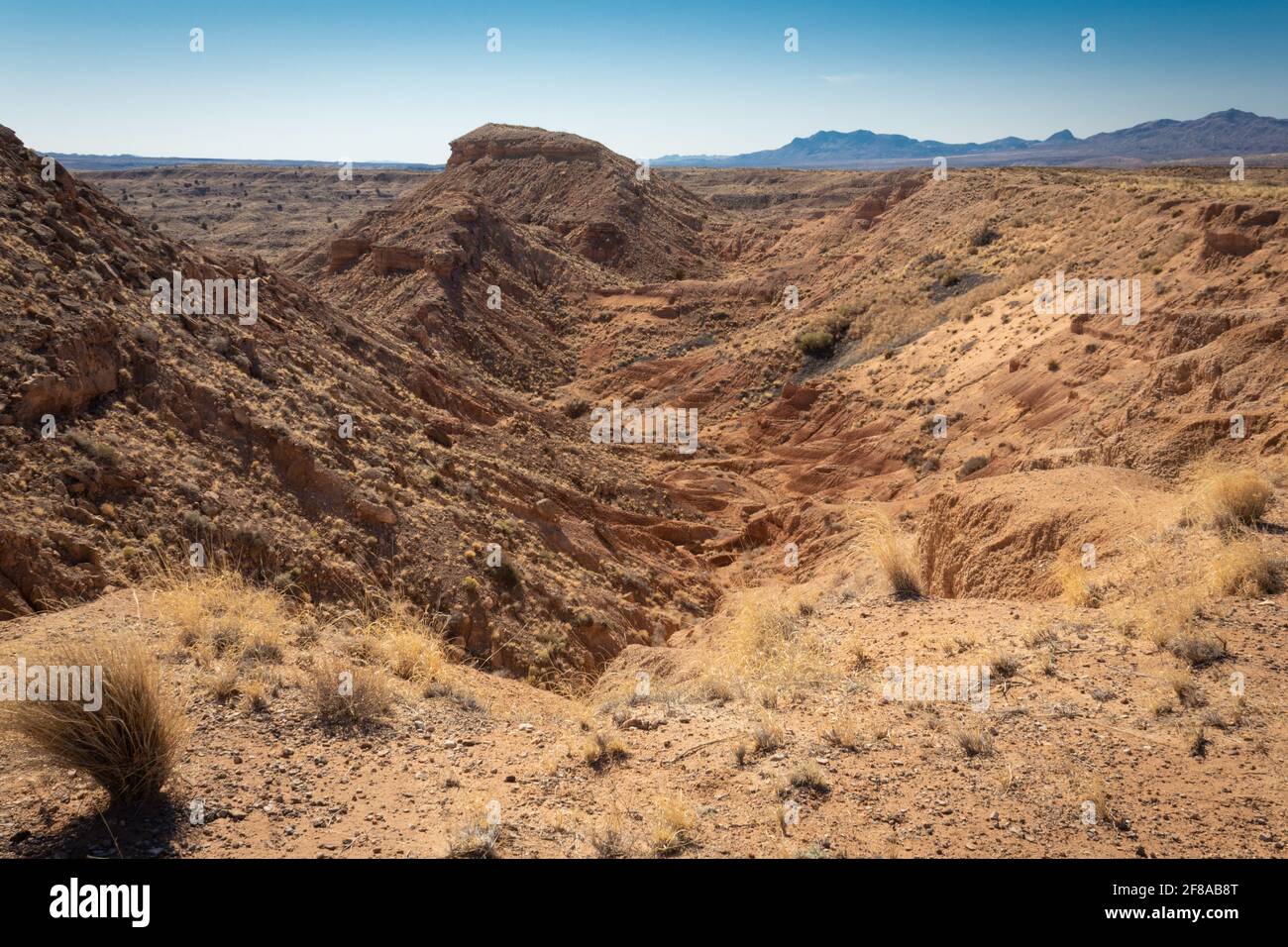 View across heavily eroded canyons in the New Mexico desert, distant ...