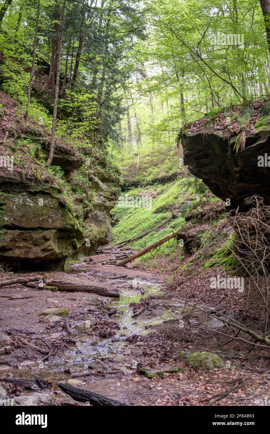 muddy hiking trails in Turkey Run state park can get a little muddy as ...