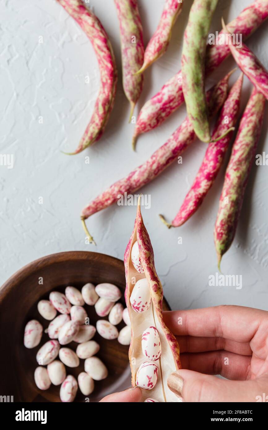 Borlotti beans shelling hi-res stock photography and images - Alamy