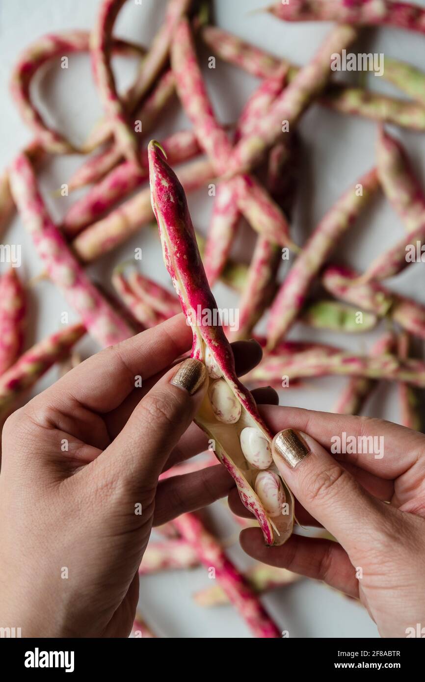 Borlotti beans shelling hi-res stock photography and images - Alamy