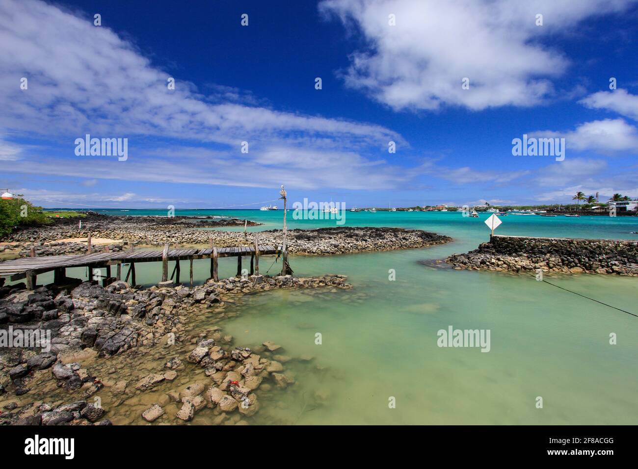 Isla santa cruz hi-res stock photography and images - Alamy