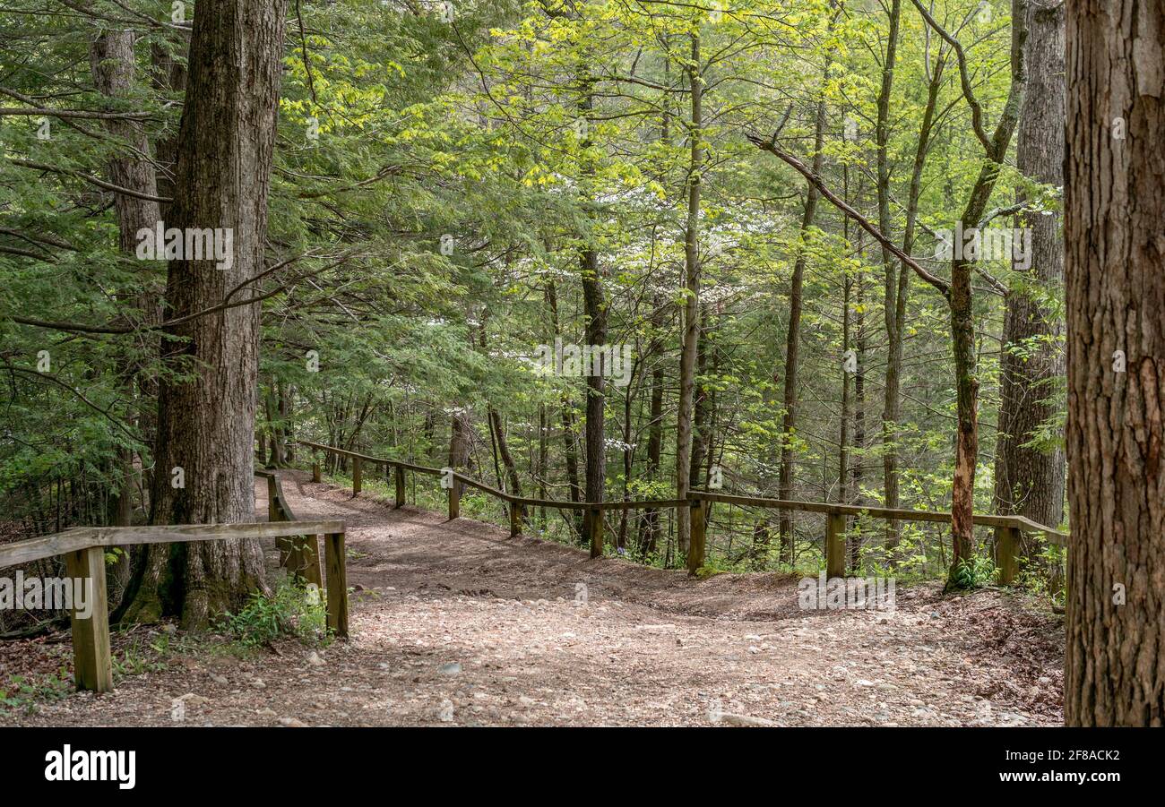 Scenic springtime hiking trails in a Indiana state park Stock Photo - Alamy
