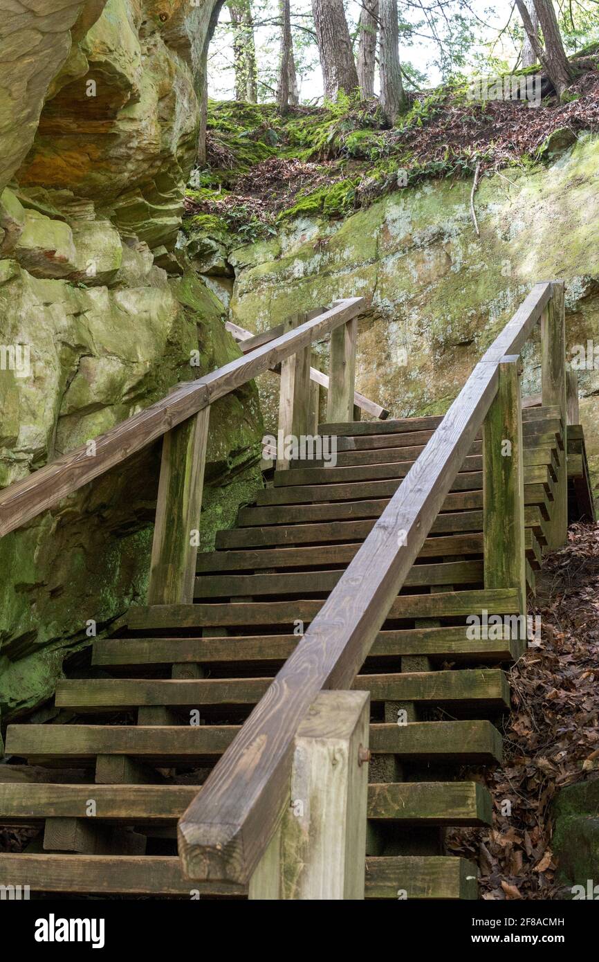 Sturdy wood steps lead up the limestone cliffs at Turkey Run state park ...