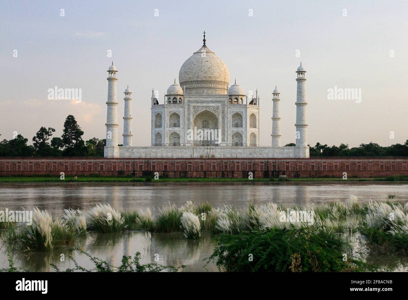 Taj mahal with flowers hi-res stock photography and images - Alamy
