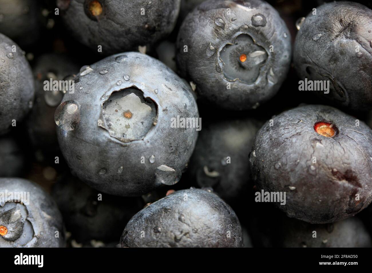 Blueberry fresh blueberries texture hi-res stock photography and images ...