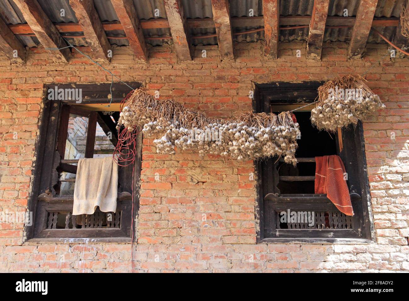 Windows of brick home with large strand of garlic hanging outside in ...