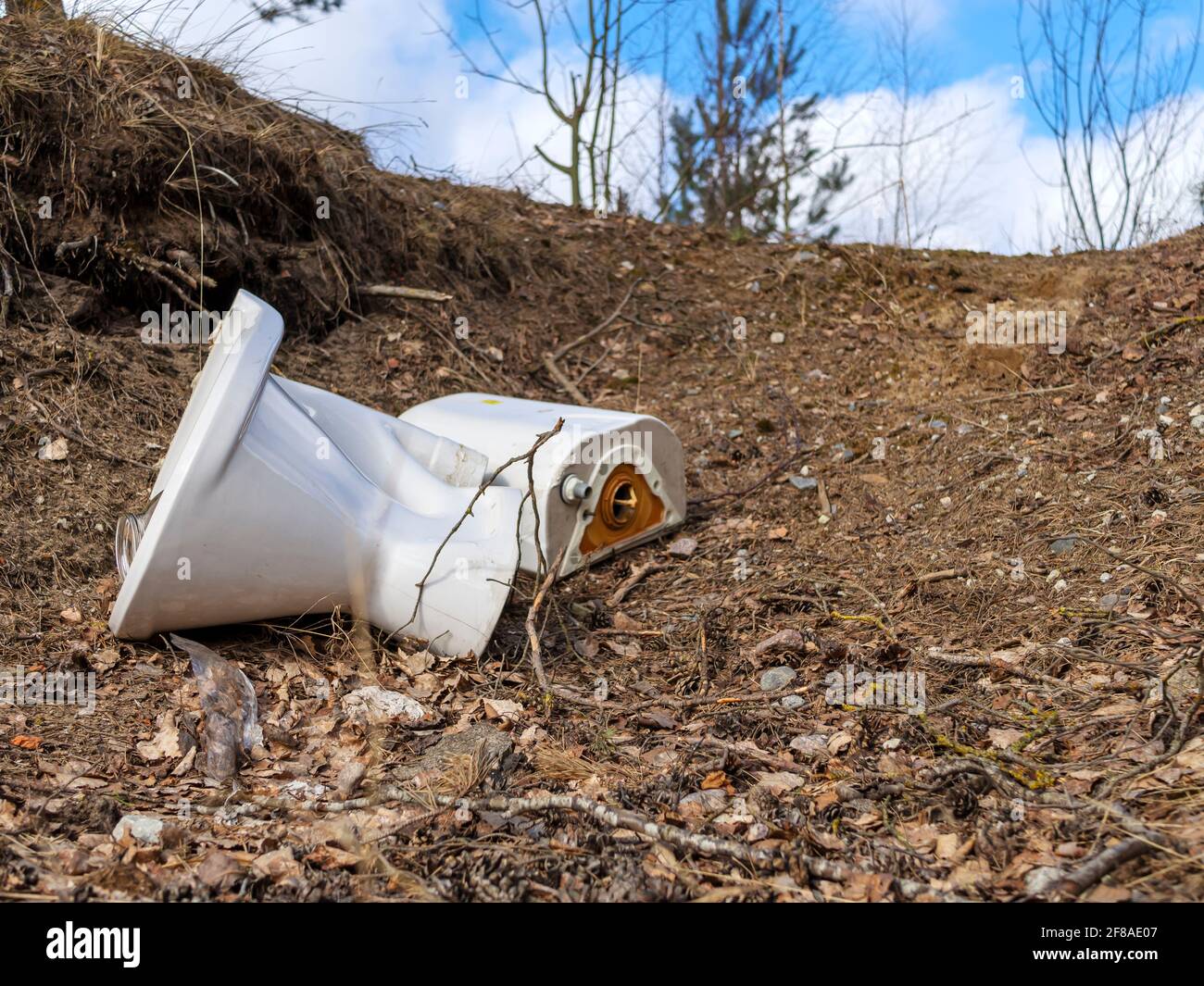 Toilet Litter. Pollution of the forest by household rubbish on nature ...