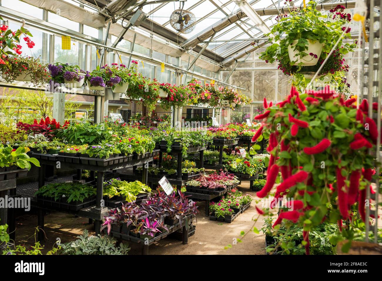 Hot_house hi-res stock photography and images - Alamy