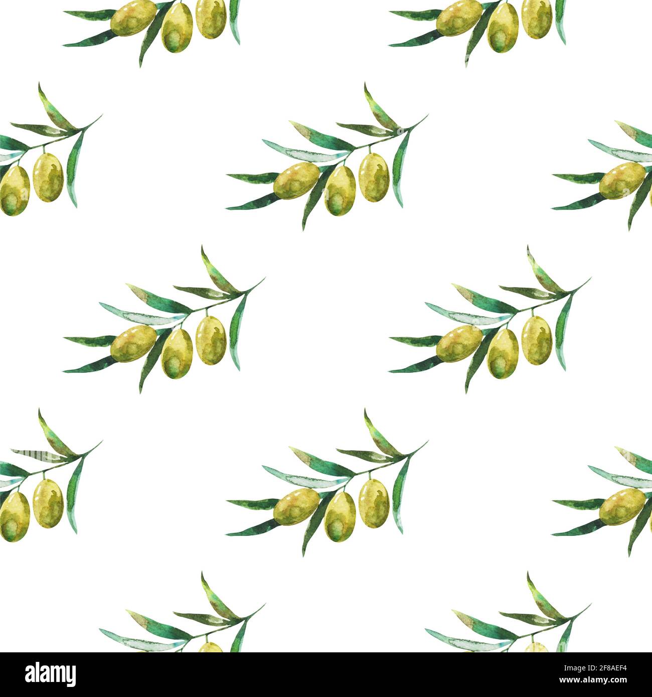 Seamless pattern with olive branches and olives. Watercolor hand ...