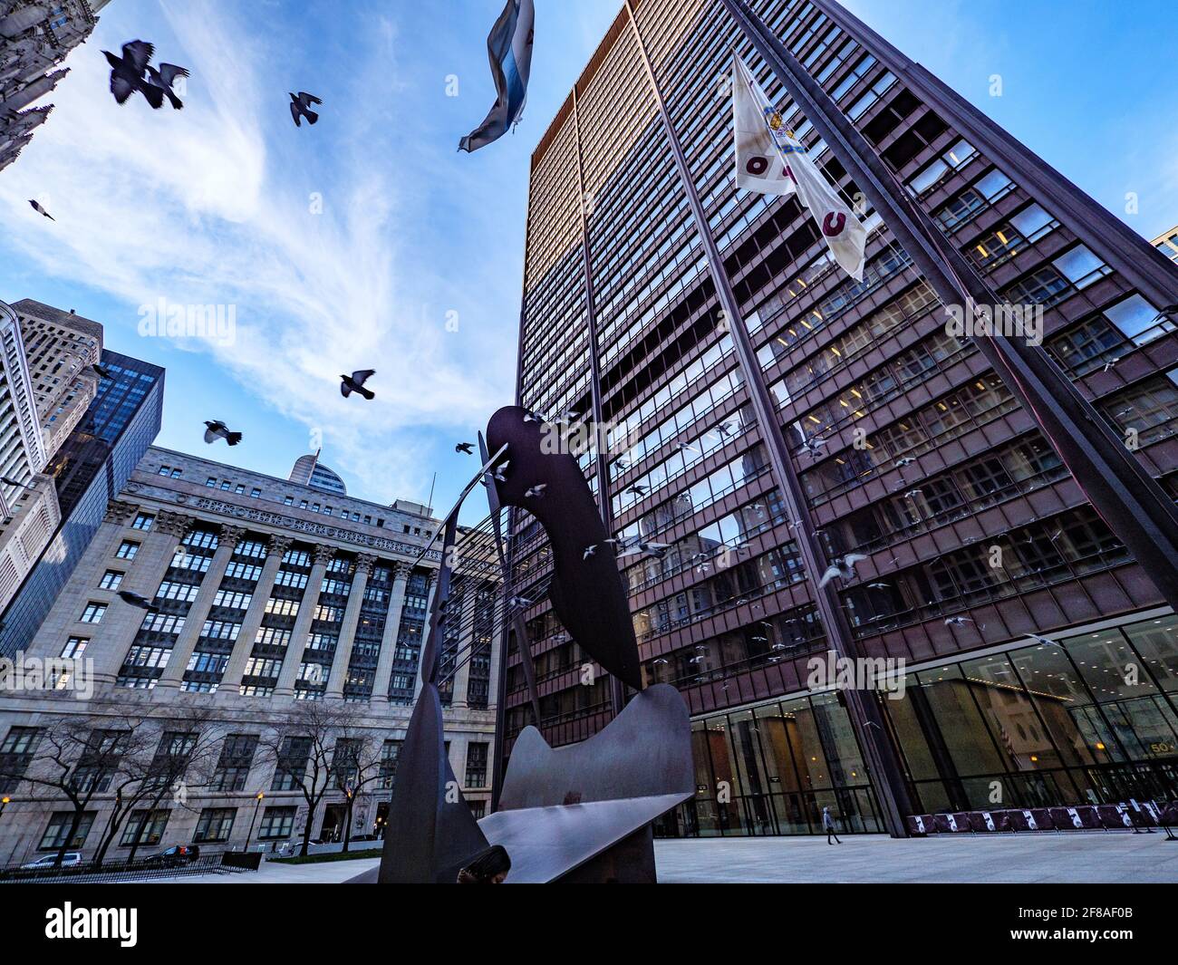 Daley Plaza Chicago. Pigeons in flight and Picasso sculpture Stock ...
