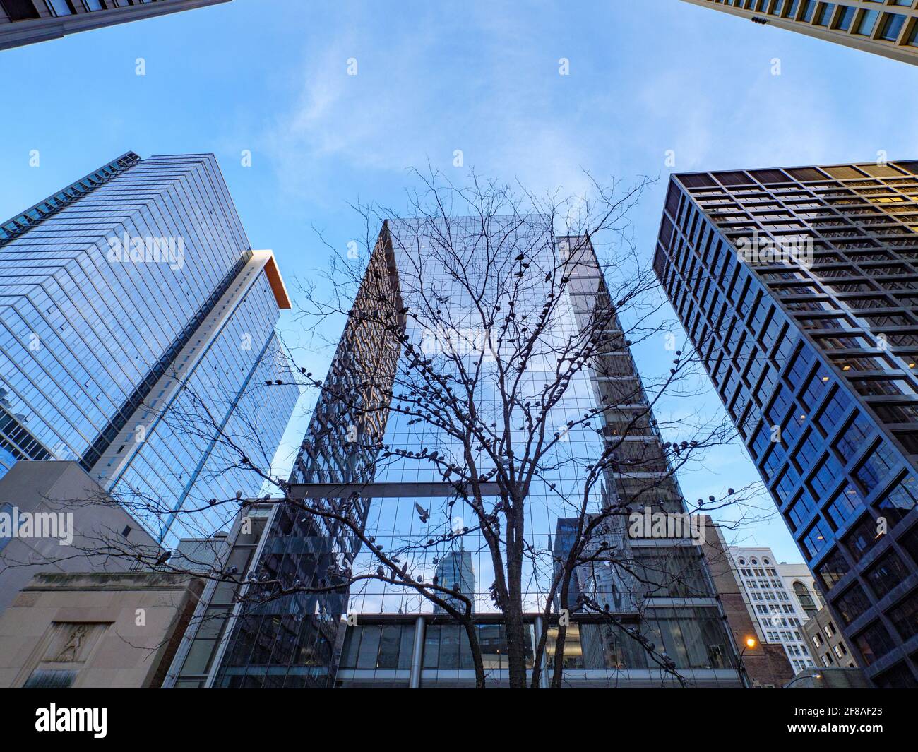 Daley center plaza hi-res stock photography and images - Alamy