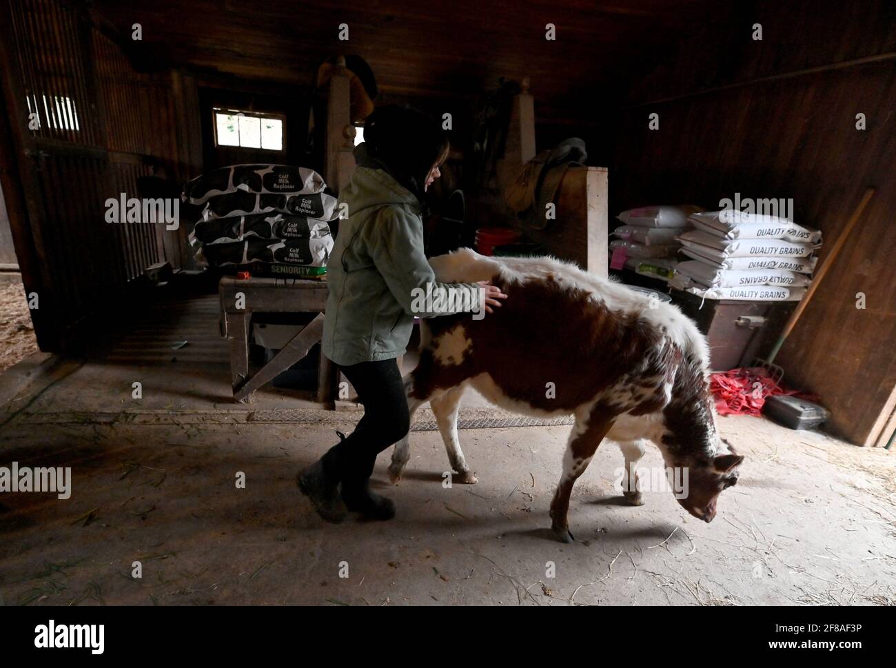 Humane practices hi-res stock photography and images - Alamy