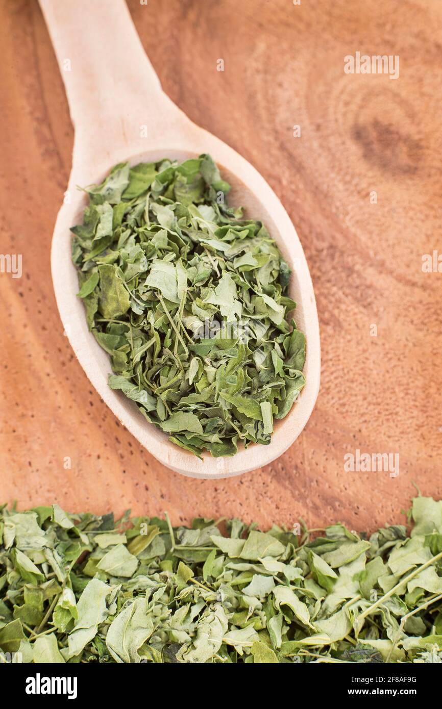 Organic moringa leaves - Moringa oleifera Stock Photo - Alamy