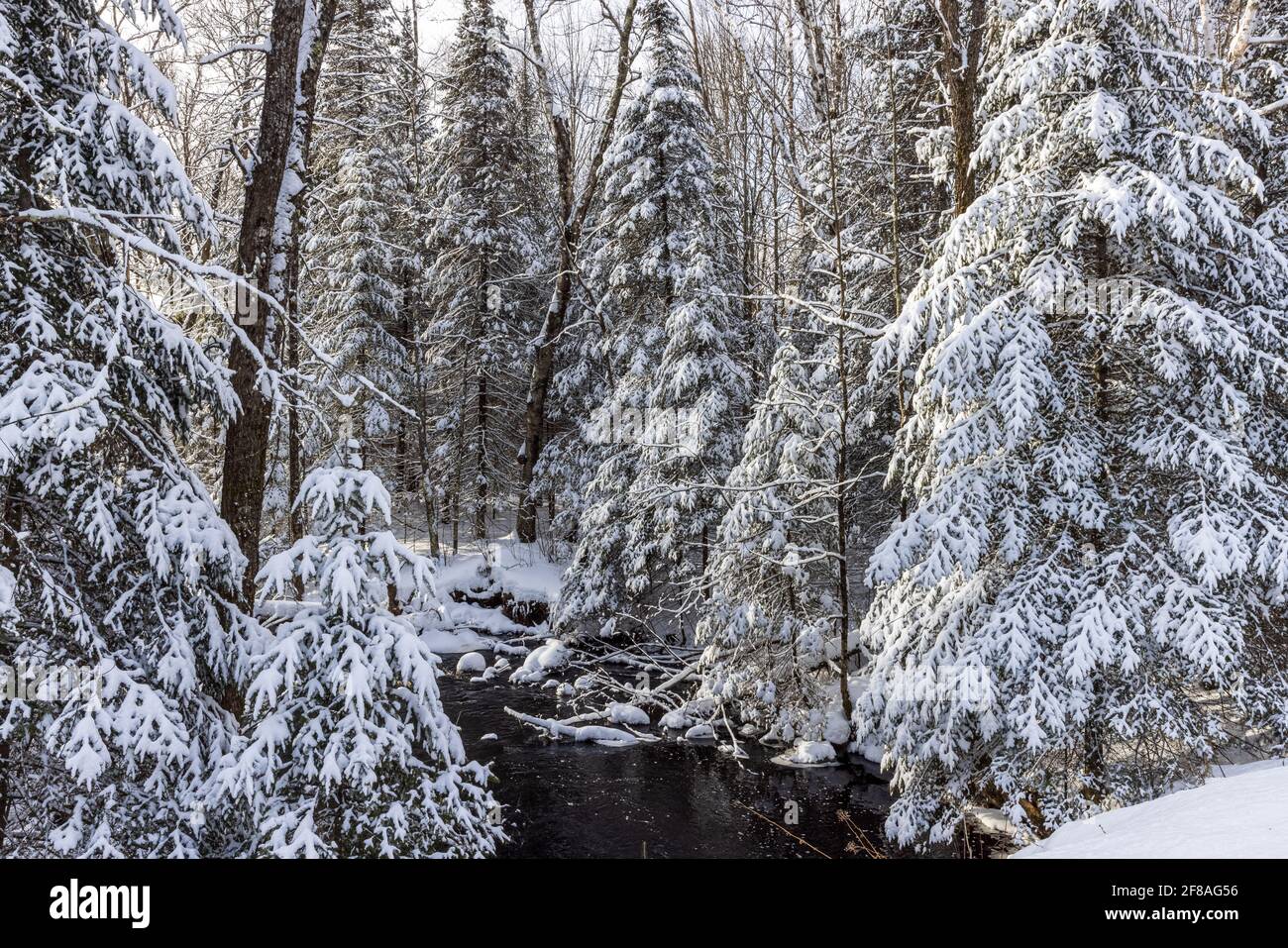 A peaceful winter scene in northern Wisconsin Stock Photo - Alamy