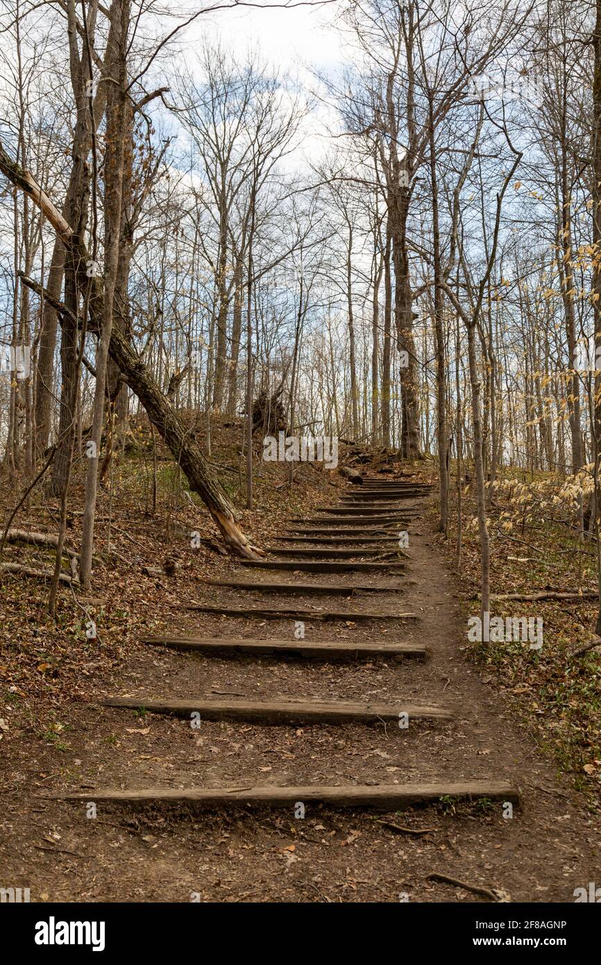 Bottom of stairs looking up hi-res stock photography and images - Alamy