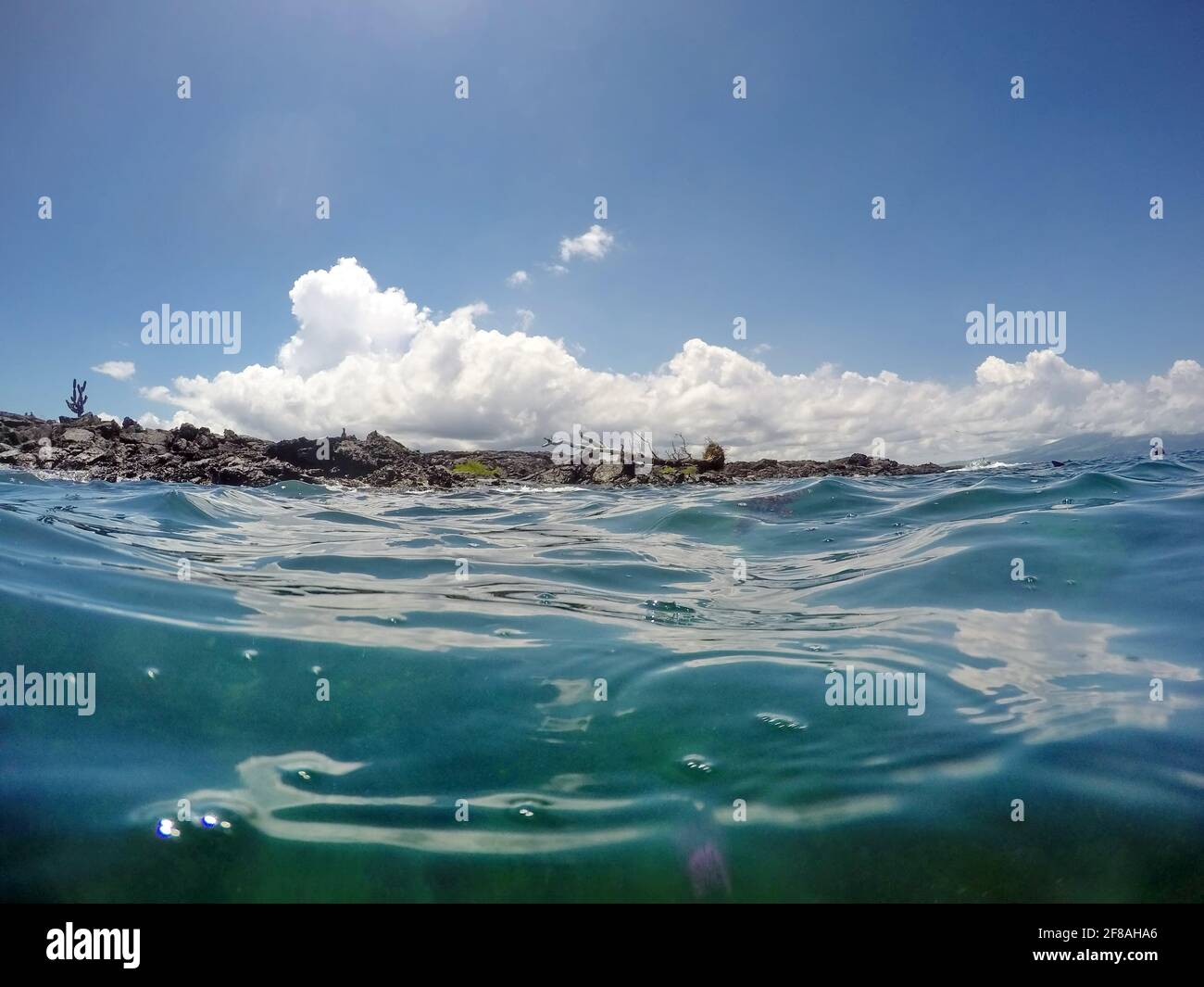 Surface of the water at Punta Morena, Isabela Island, Galapagos ...