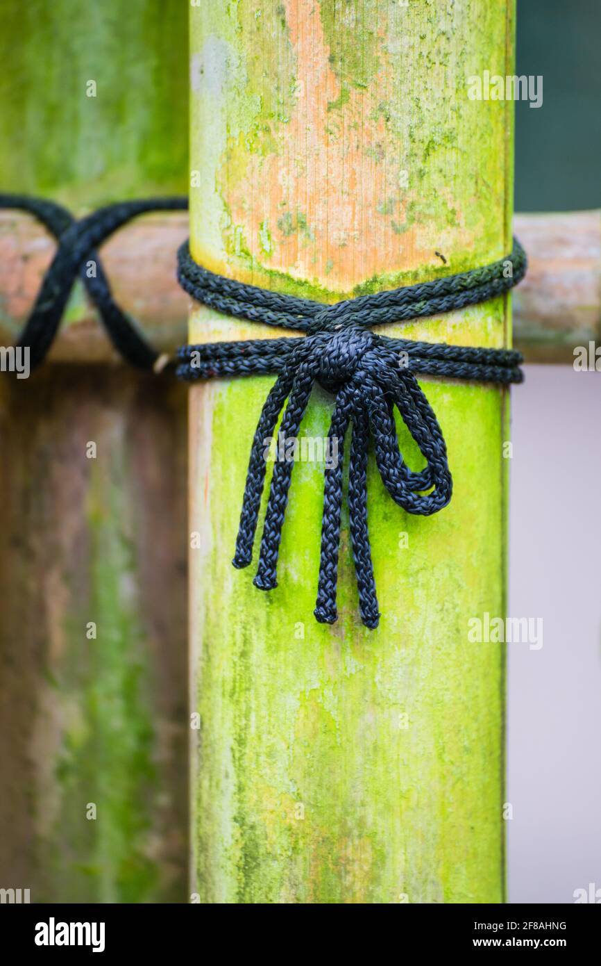 Knot column hi-res stock photography and images - Alamy