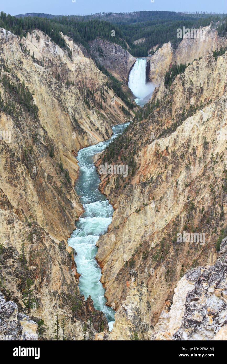 The amazing natural beauty of Yellowstone National Park Stock Photo - Alamy
