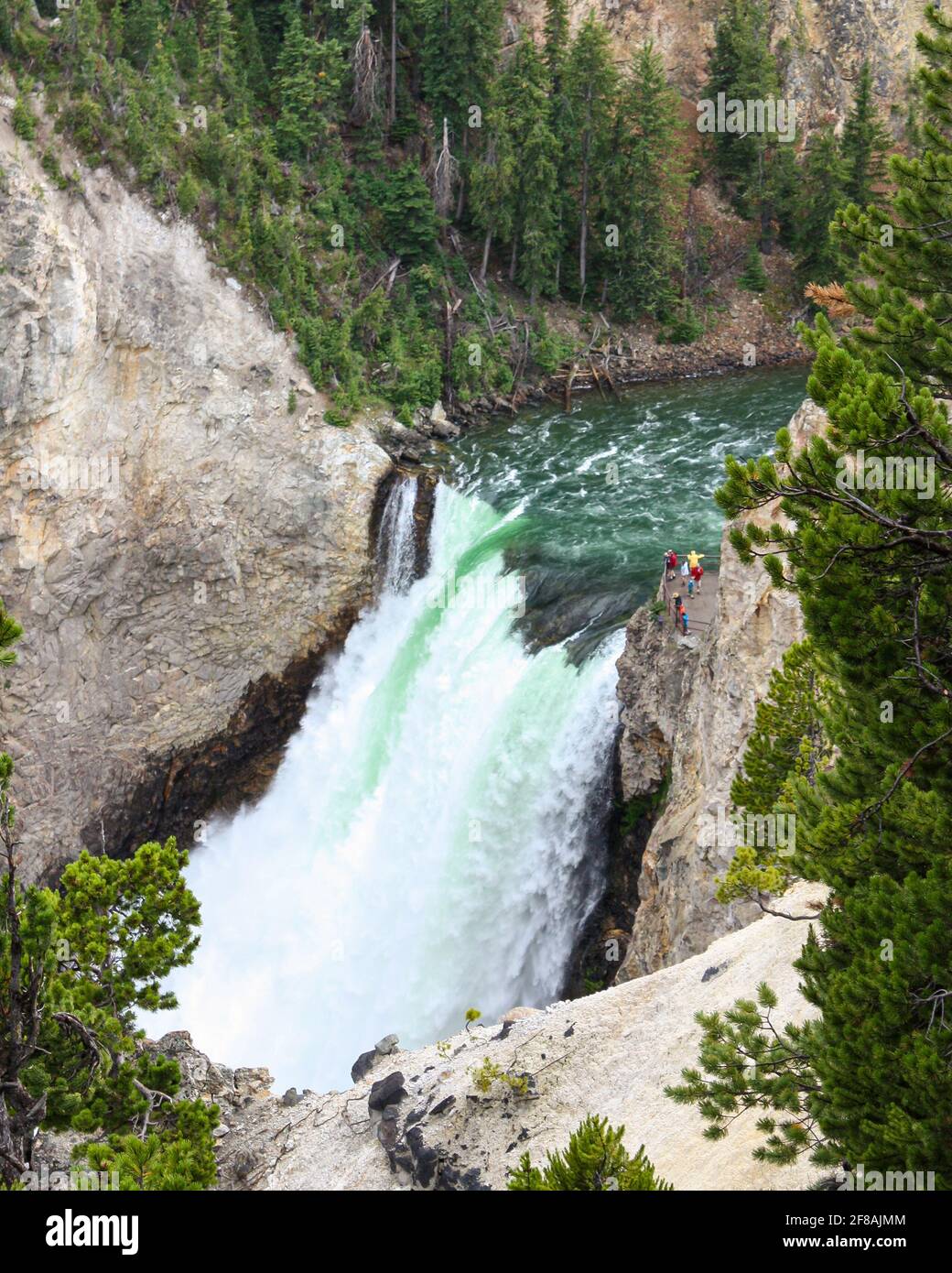 The amazing natural beauty of Yellowstone National Park Stock Photo - Alamy