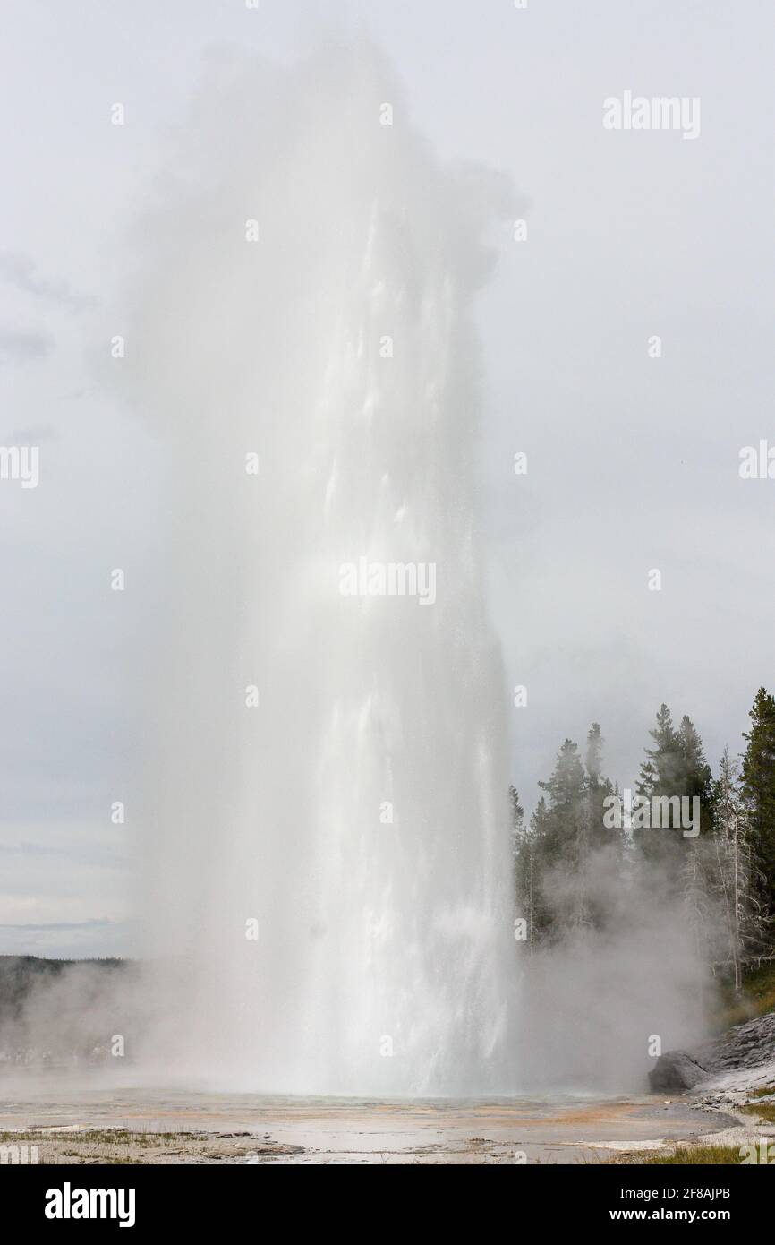 The amazing natural beauty of Yellowstone National Park Stock Photo - Alamy