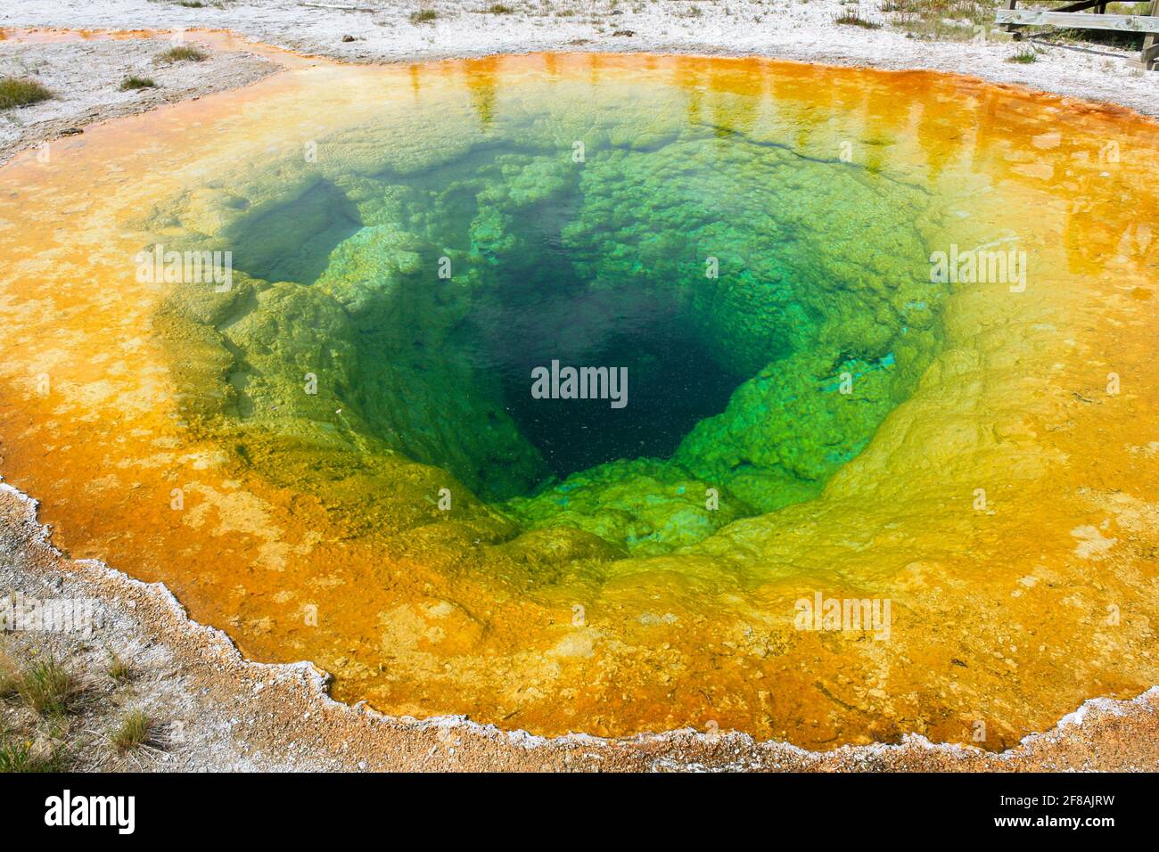 The amazing natural beauty of Yellowstone National Park Stock Photo - Alamy