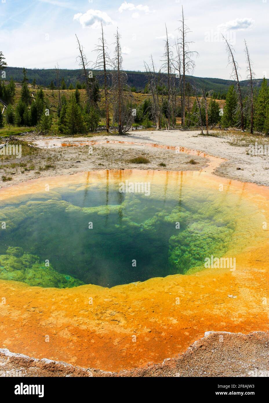 The amazing natural beauty of Yellowstone National Park Stock Photo - Alamy