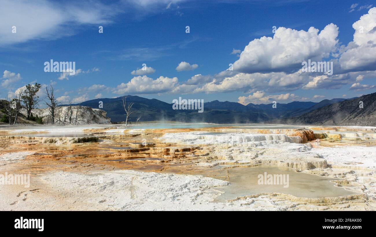 The amazing natural beauty of Yellowstone National Park Stock Photo - Alamy